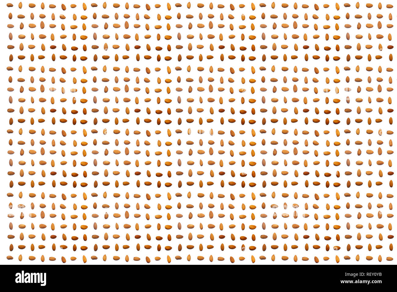 A collection of almond nuts lie in horizontal rows on an isolated white ...