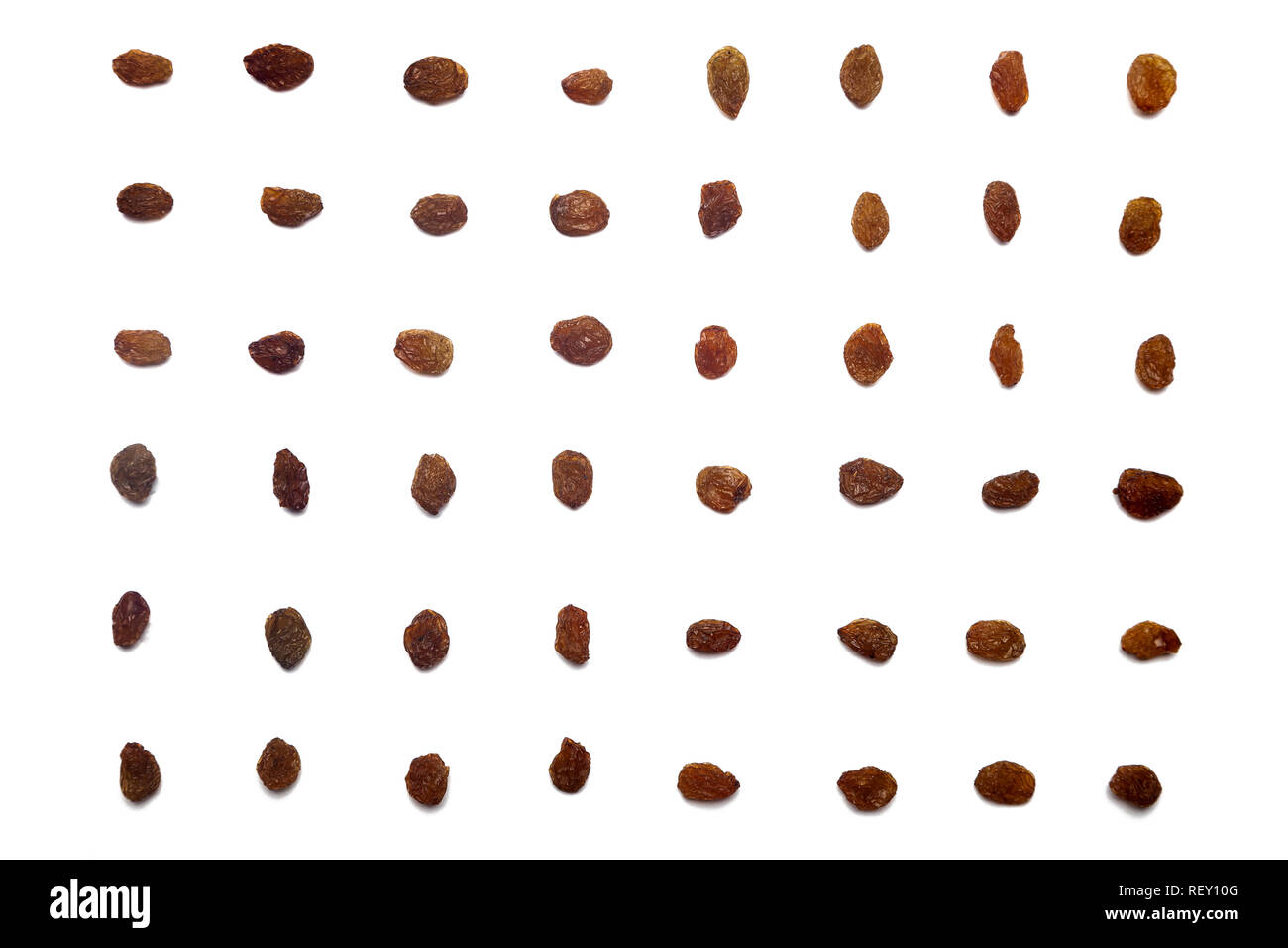A collection of Brown raisins lie in horizontal rows on an isolated ...