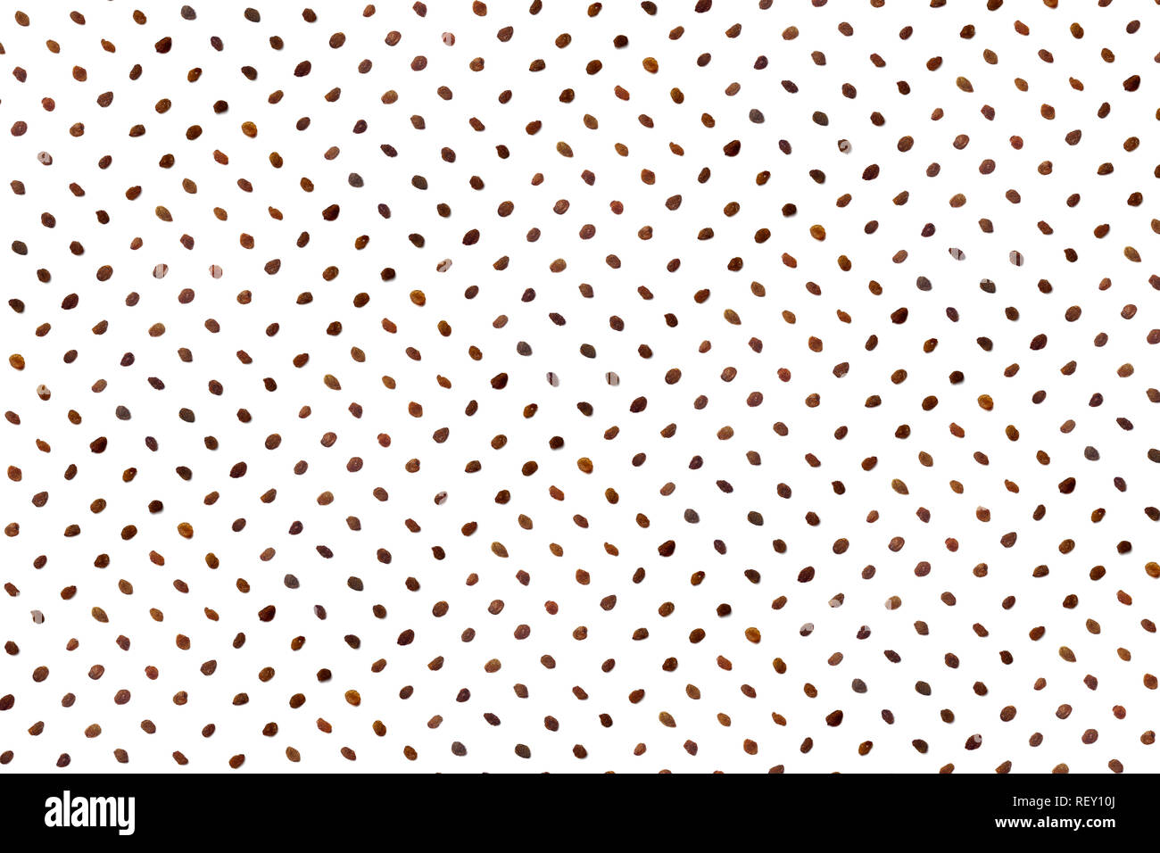 A collection of Brown raisinslie in straight rows along dioganals on an ...