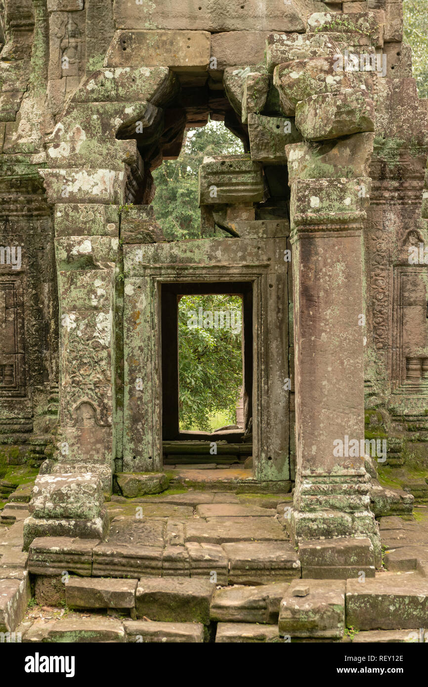 View through ruined temple entrance to forest Stock Photo - Alamy
