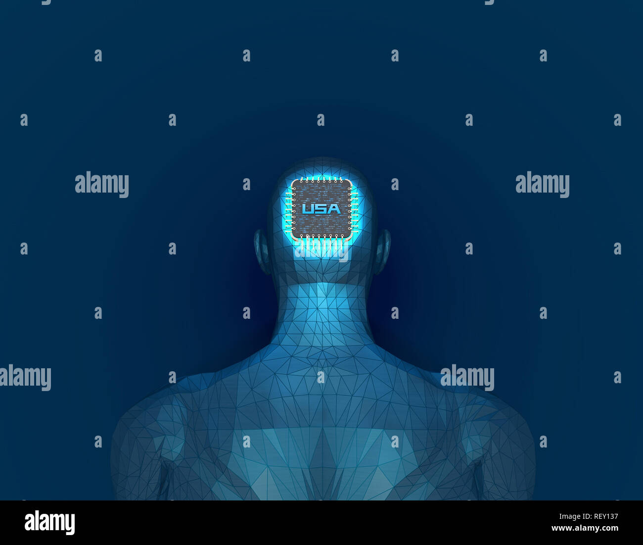 Human digital technology, US chip core, network data transmission ...