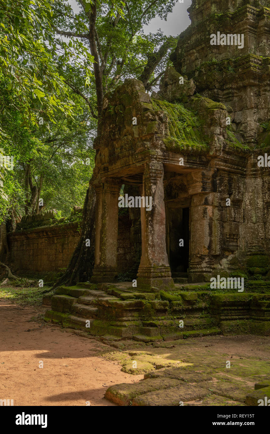 Ancient temple moss covered ruins hi-res stock photography and images ...