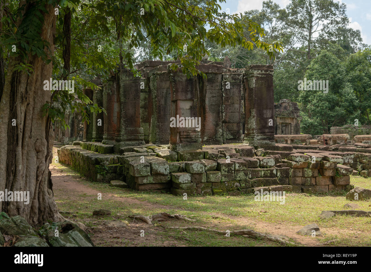 Ruins of old stone temple in forest Stock Photo - Alamy