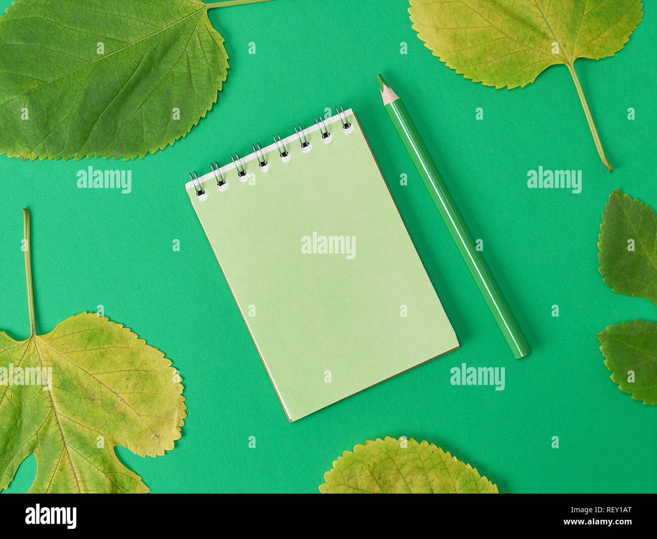 notebook on a green background and wooden pencil Stock Photo - Alamy