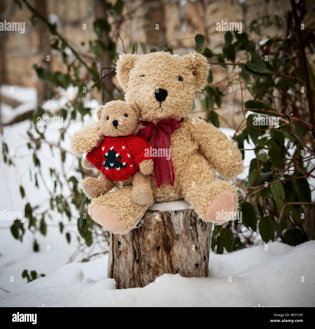 Two teddy bears hugging hi-res stock photography and images - Alamy
