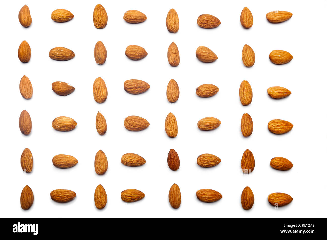 A collection of Apricot stone lie in horizontal rows on an isolated ...