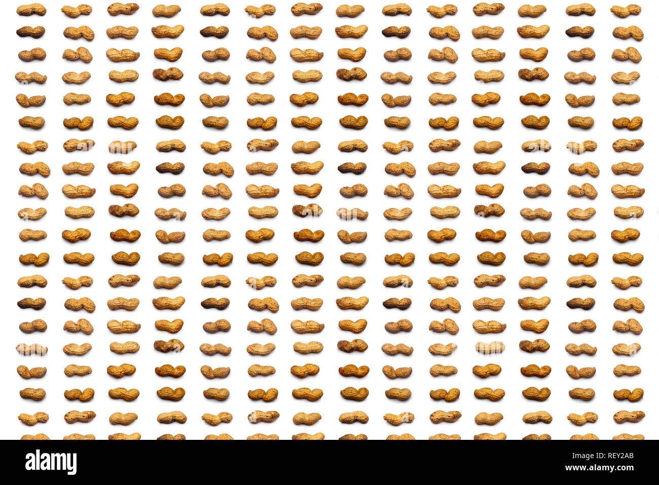 A collection of unpeeled peanuts lie in horizontal rows on an isolated ...