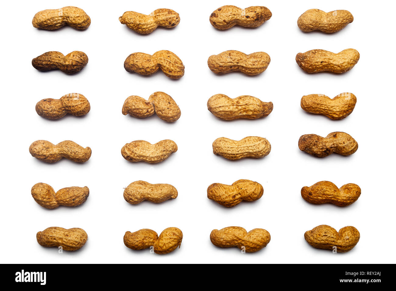 A collection of unpeeled peanuts lie in horizontal rows on an isolated ...