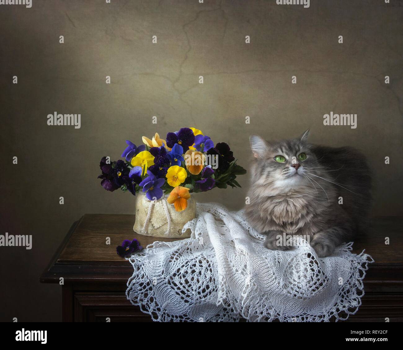 Still life with bouquet of spring flowers and funny kitty Stock Photo ...