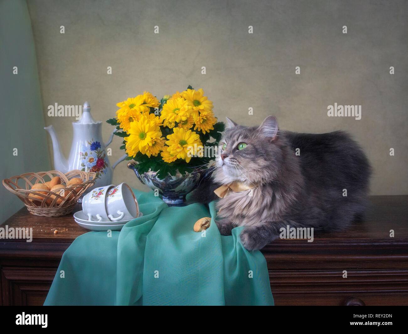 Still life with morning tea and curious kitty Stock Photo - Alamy