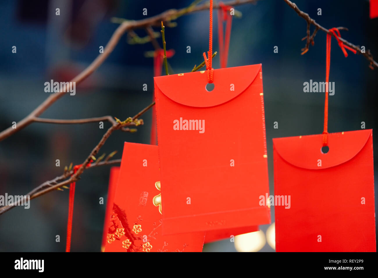 Red envelope Lunar New Year. High-quality stock image of red envelopes ...