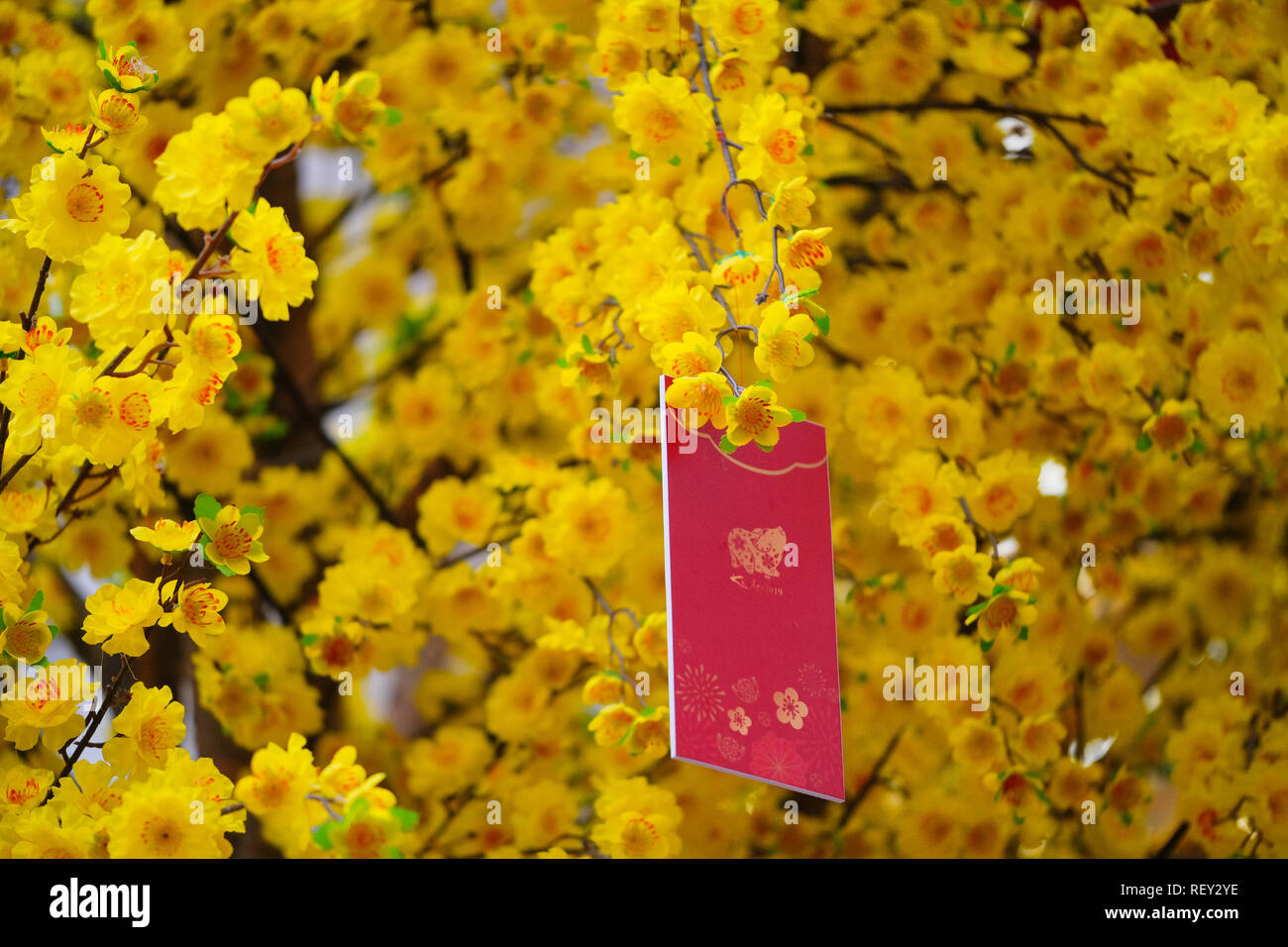 Red envelope Lunar New Year. High-quality stock image of red envelopes ...