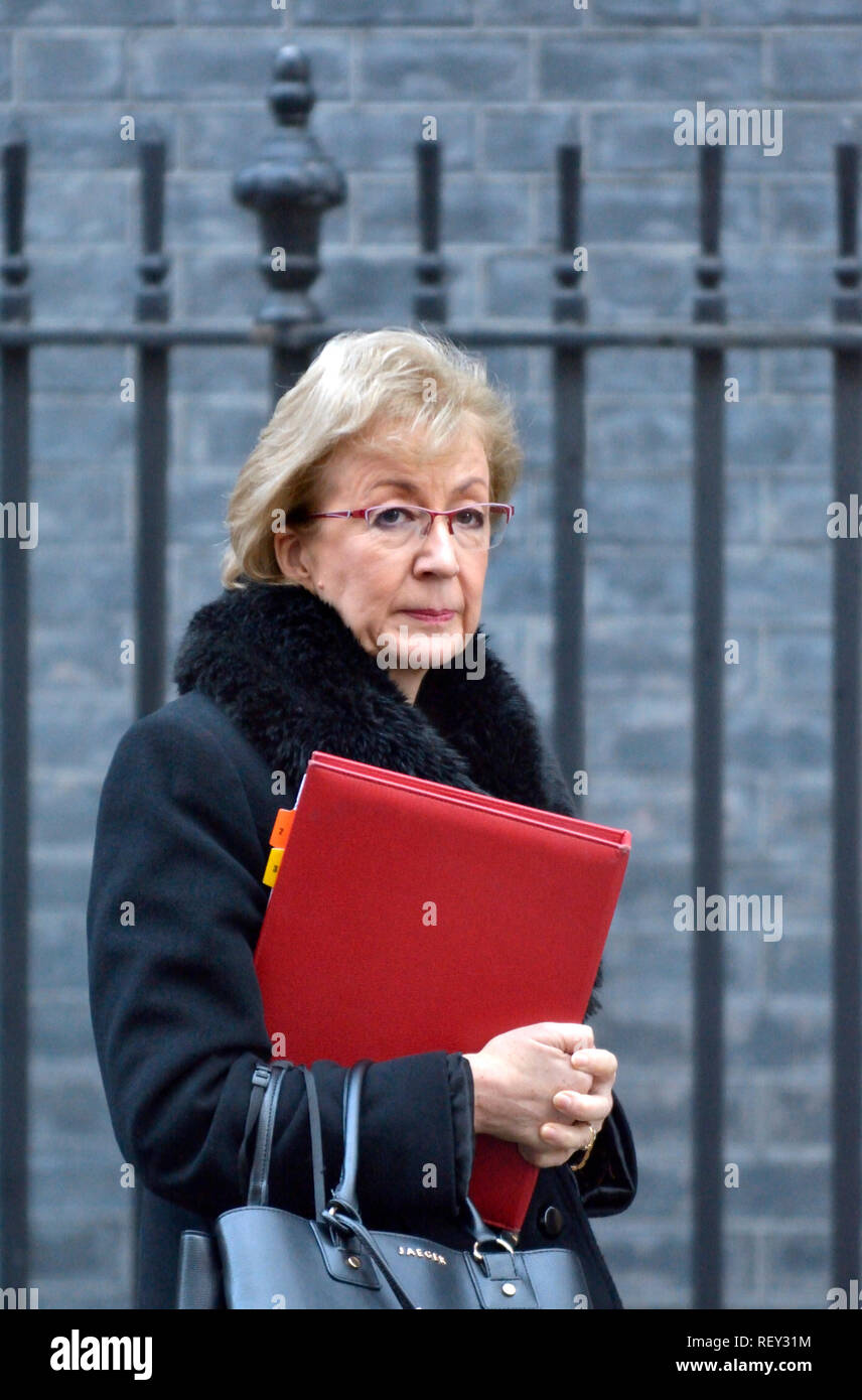 Andrea leadsom 2019 hi-res stock photography and images - Alamy