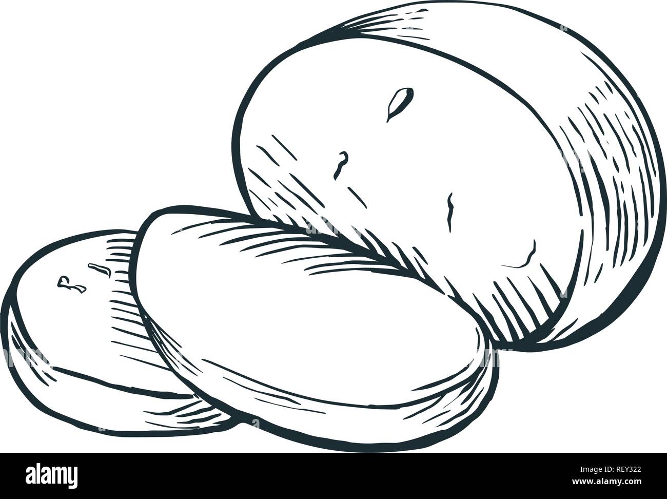 Cheese Buffalo mozzarella hand drawn engraving. Vector illustration ...