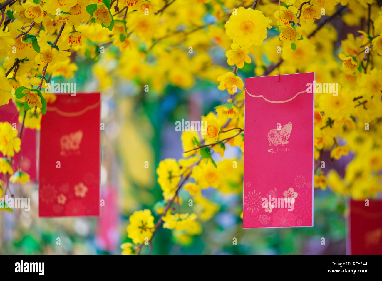 Vietnam tet envelope hi-res stock photography and images - Alamy