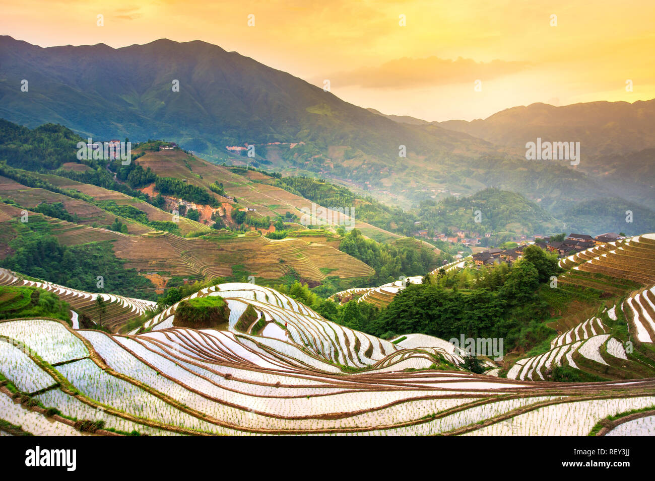 Rice terraces guilin china hi-res stock photography and images - Alamy