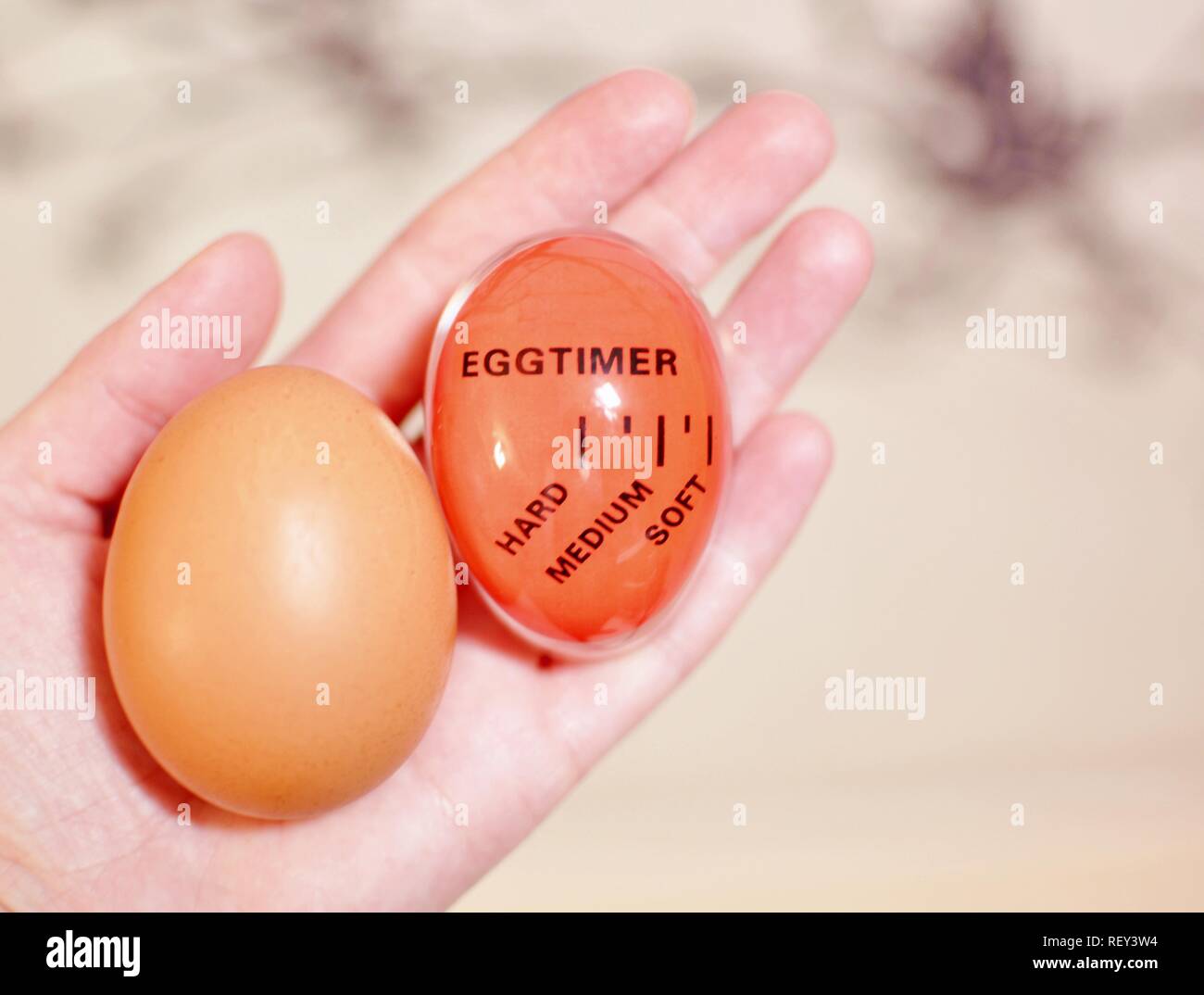 Medium boiled egg with an red egg timer held in woman white hand Stock ...