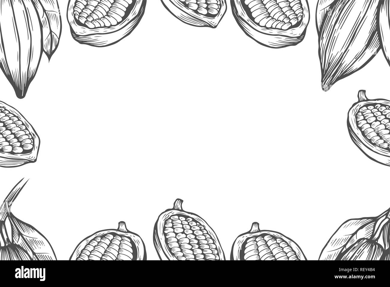 Cocoa bean tree design template. Engraved style illustration. Chocolate ...