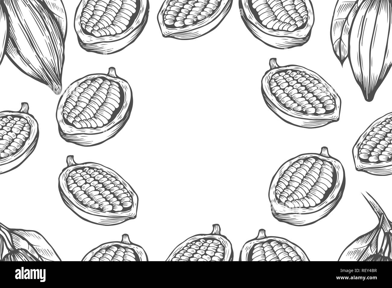 Cocoa bean tree design template. Engraved style illustration. Chocolate ... Cocoa bean tree design template. Engraved style illustration. Chocolate ...
