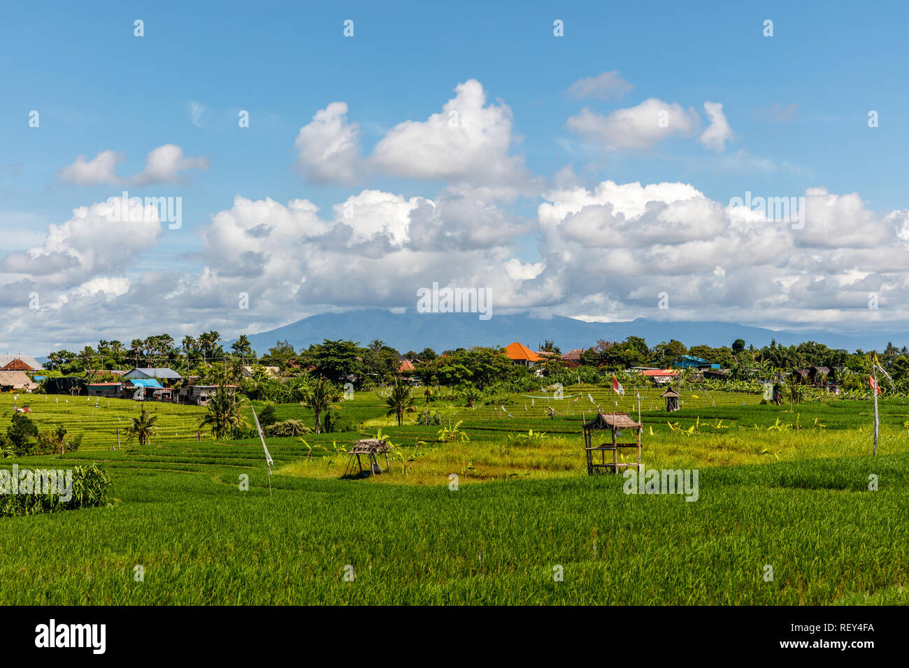 Rice fields, houses of Balinese village, clouds. Rural landscape, Bali ...
