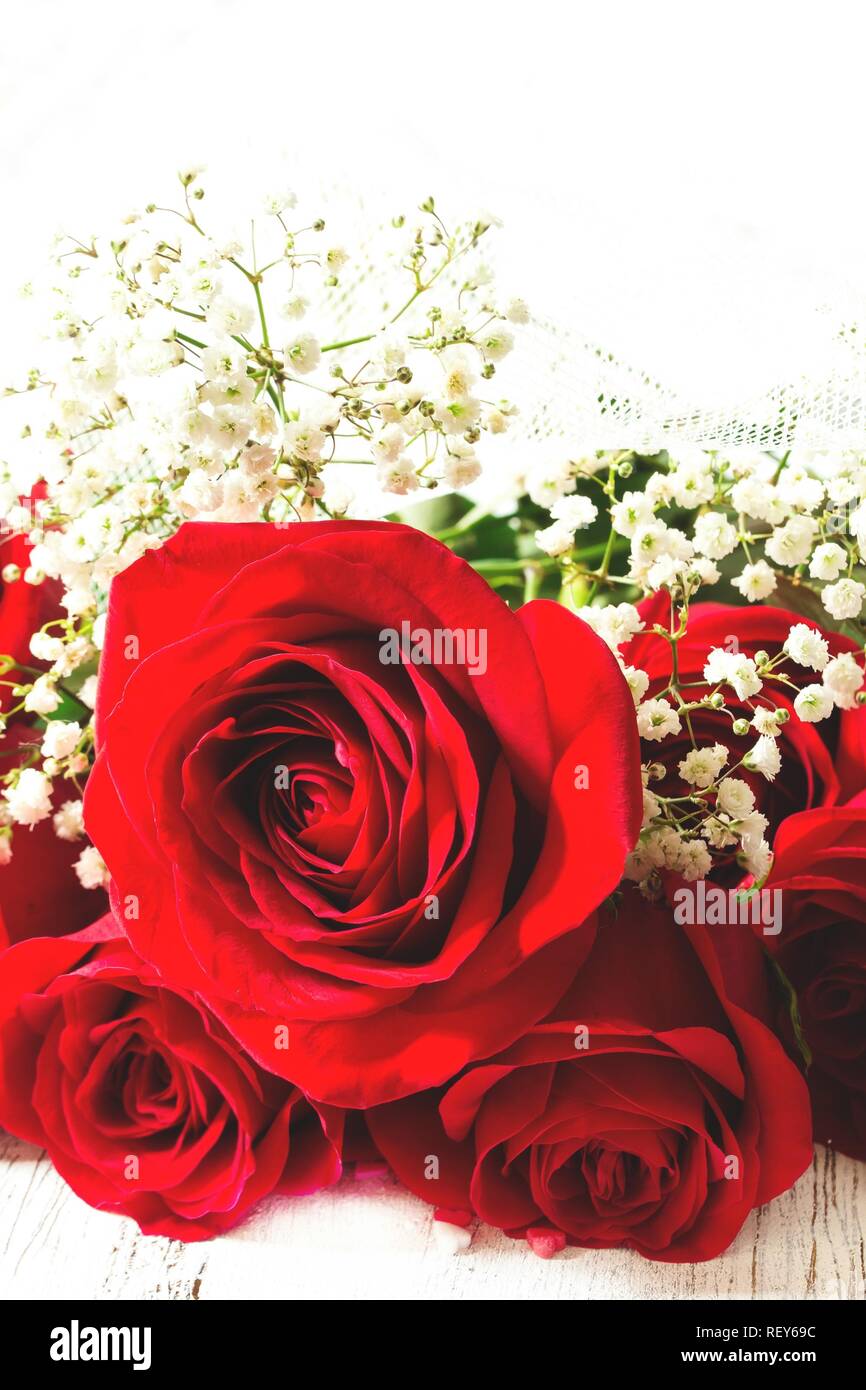 Fresh Red Roses Valentines day background, selective focus Stock Photo ...