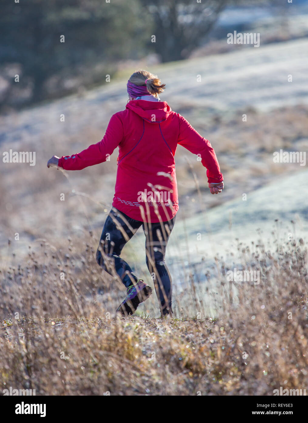 Fell runner lake district hi-res stock photography and images - Alamy