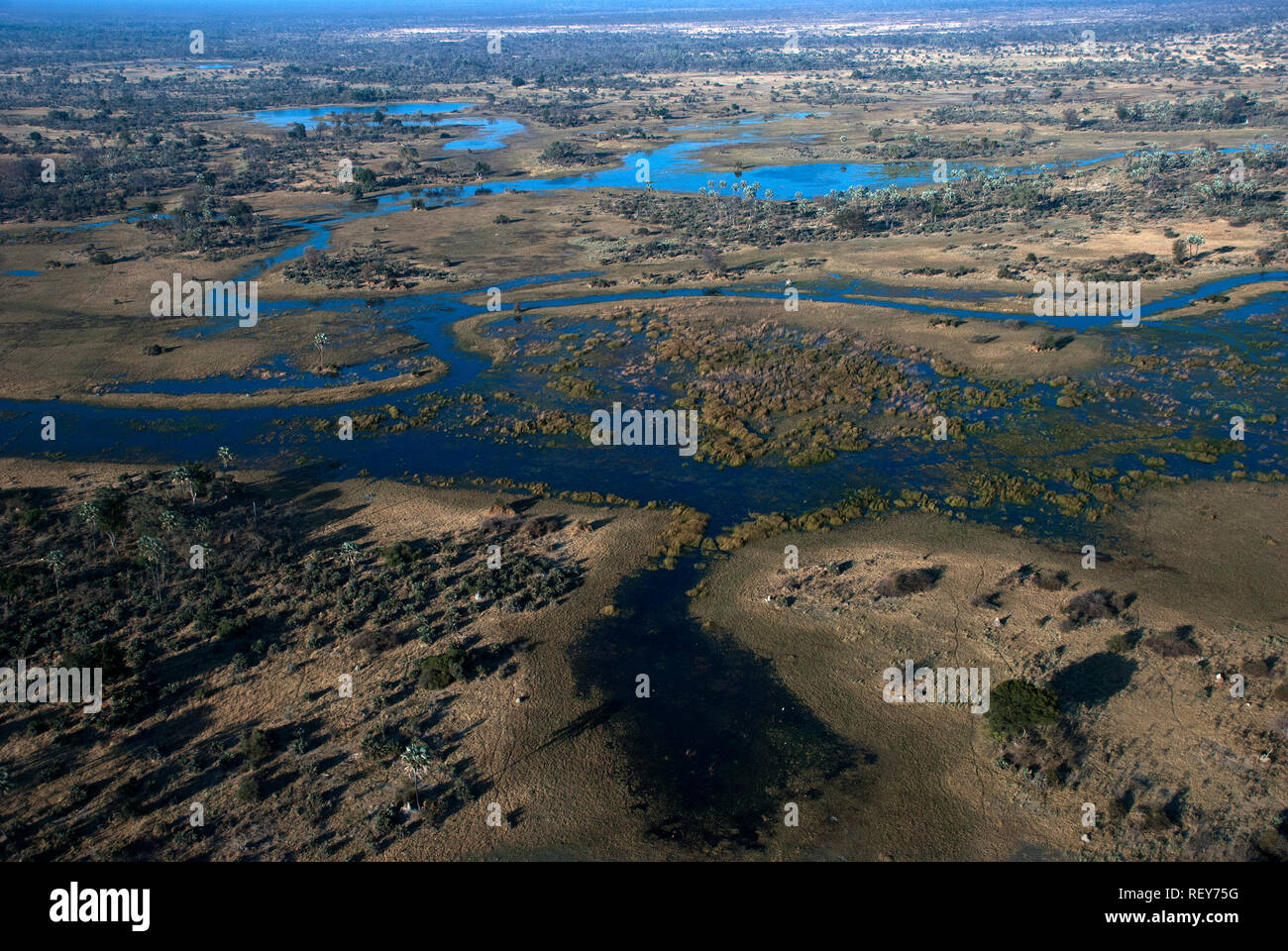 Aerial view of the Okavango Delta, Botswana Stock Photo - Alamy