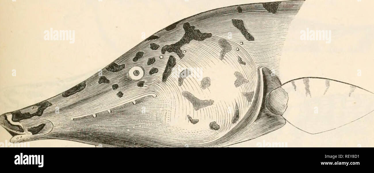 30 ql hi-res stock photography and images - Alamy