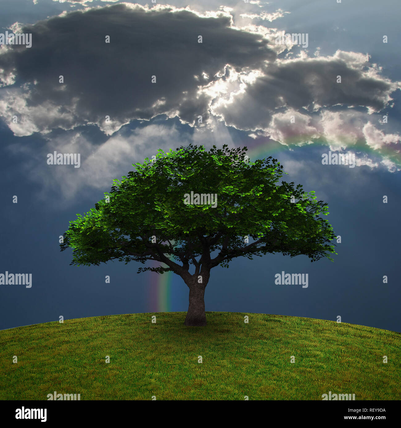 Green Tree. Dramatic clouds and rainbow. 3D rendering Stock Photo - Alamy