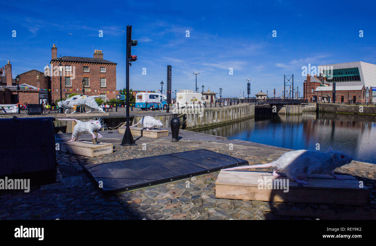 Ship's Cat and Super Rat, Albert Dock, Liverpool Stock Photo - Alamy