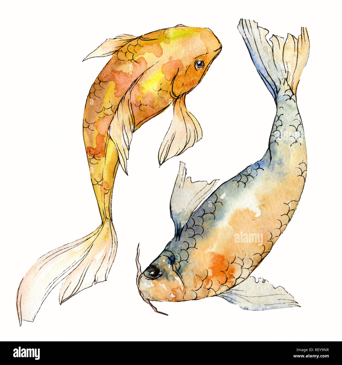 Watercolor aquatic underwater colorful tropical fish set. Red sea and ...