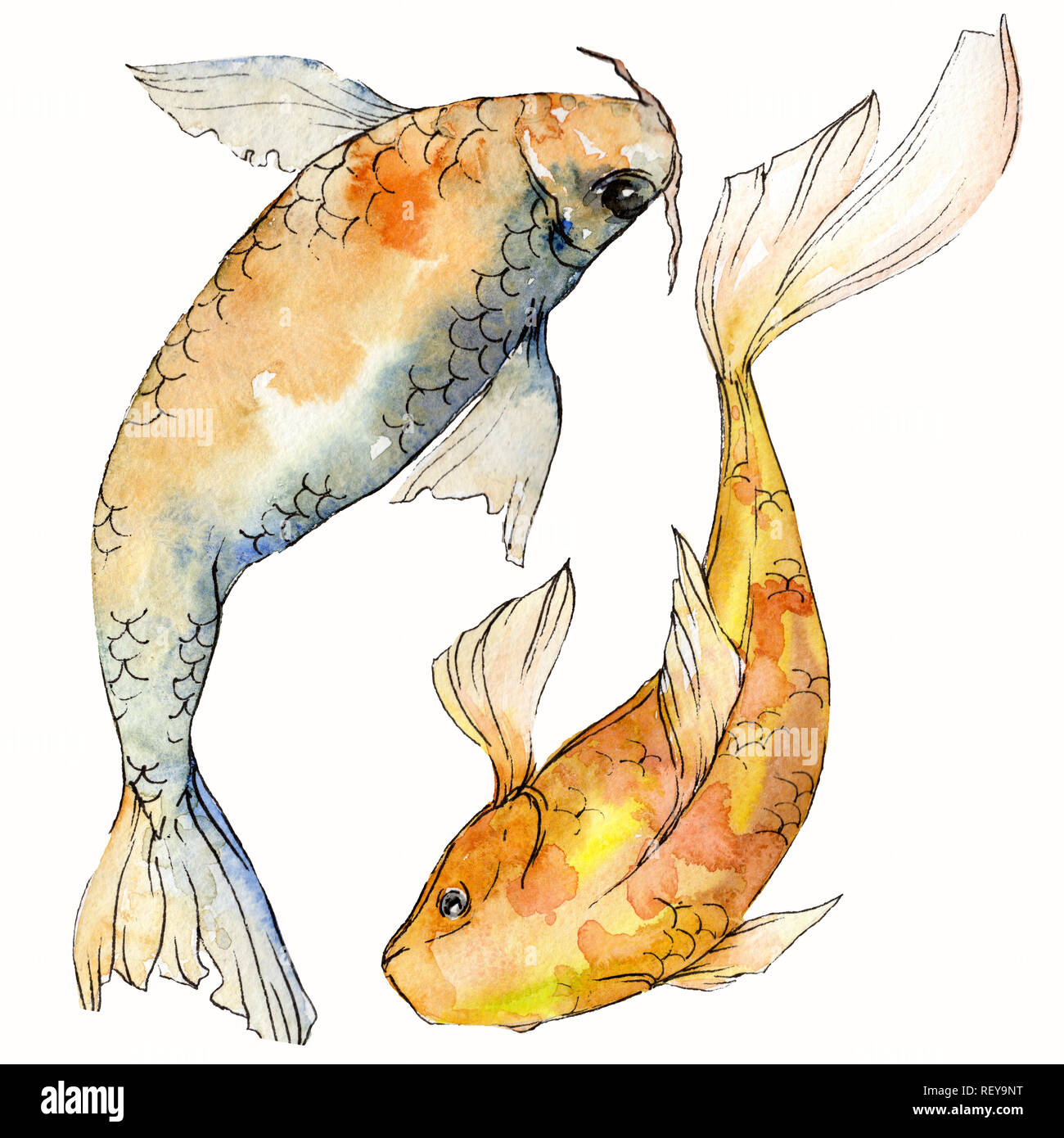 Watercolor aquatic underwater colorful tropical fish set. Red sea and ...