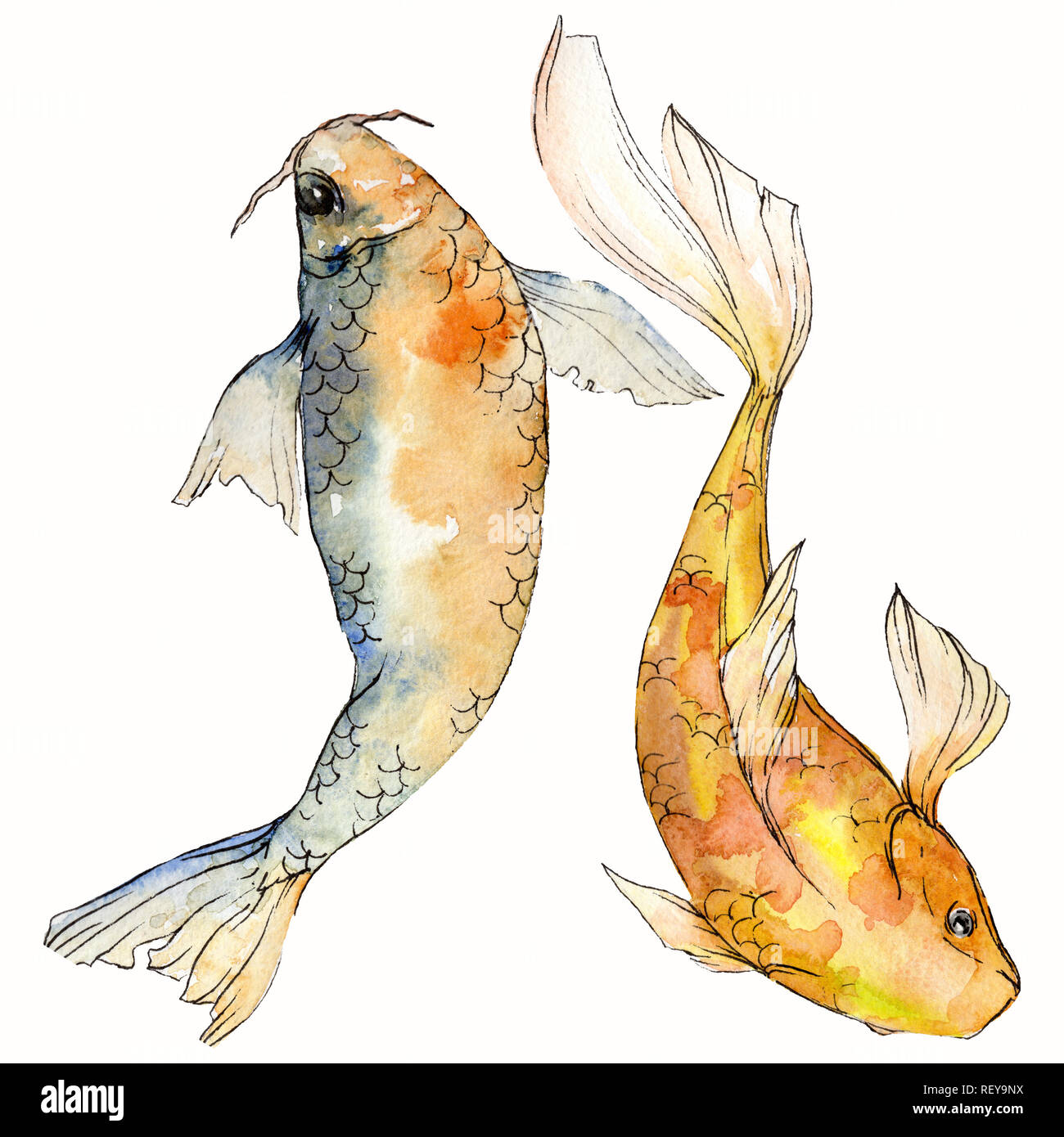 Watercolor aquatic underwater colorful tropical fish set. Red sea and ...