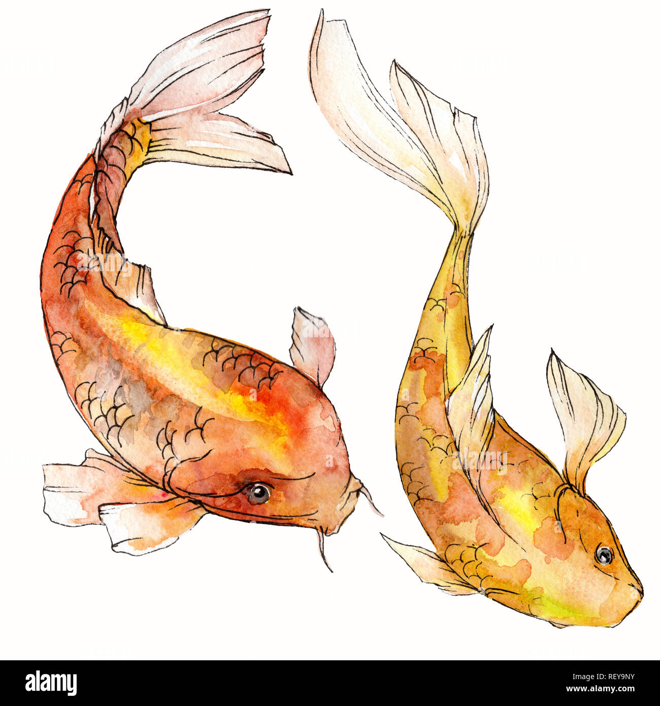 Watercolor aquatic underwater colorful tropical fish set. Red sea and ...