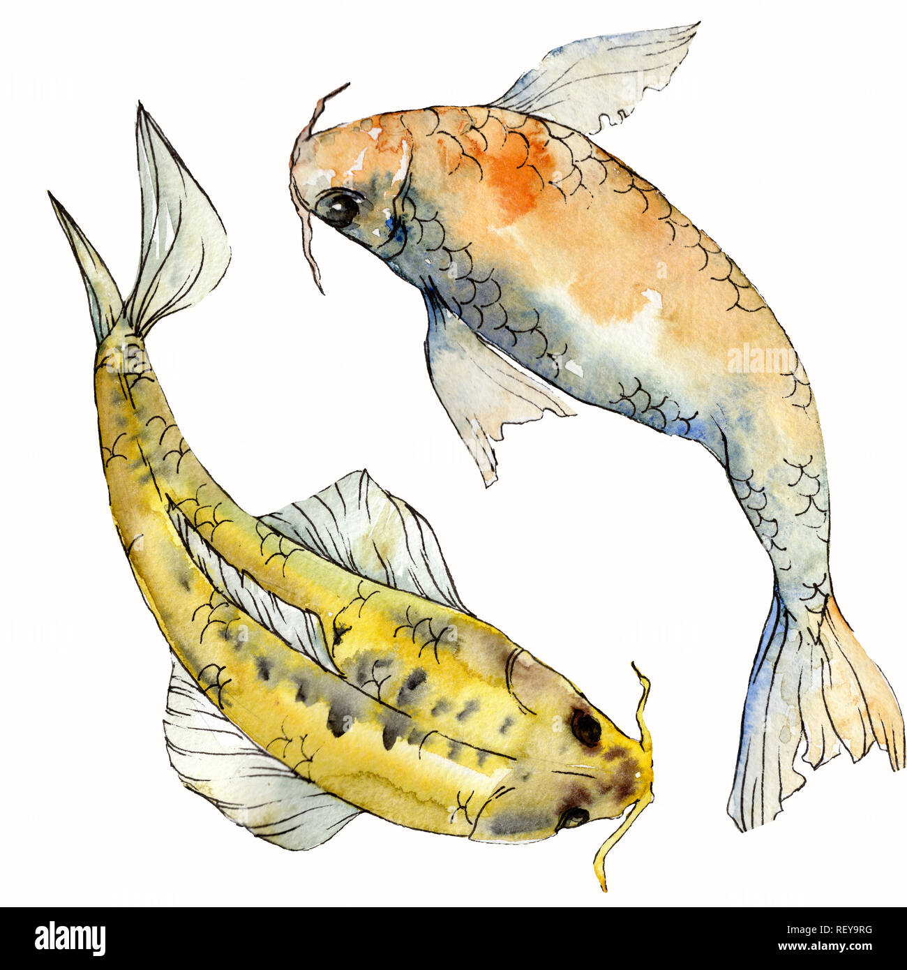 Watercolor aquatic underwater colorful tropical fish set. Red sea and ...