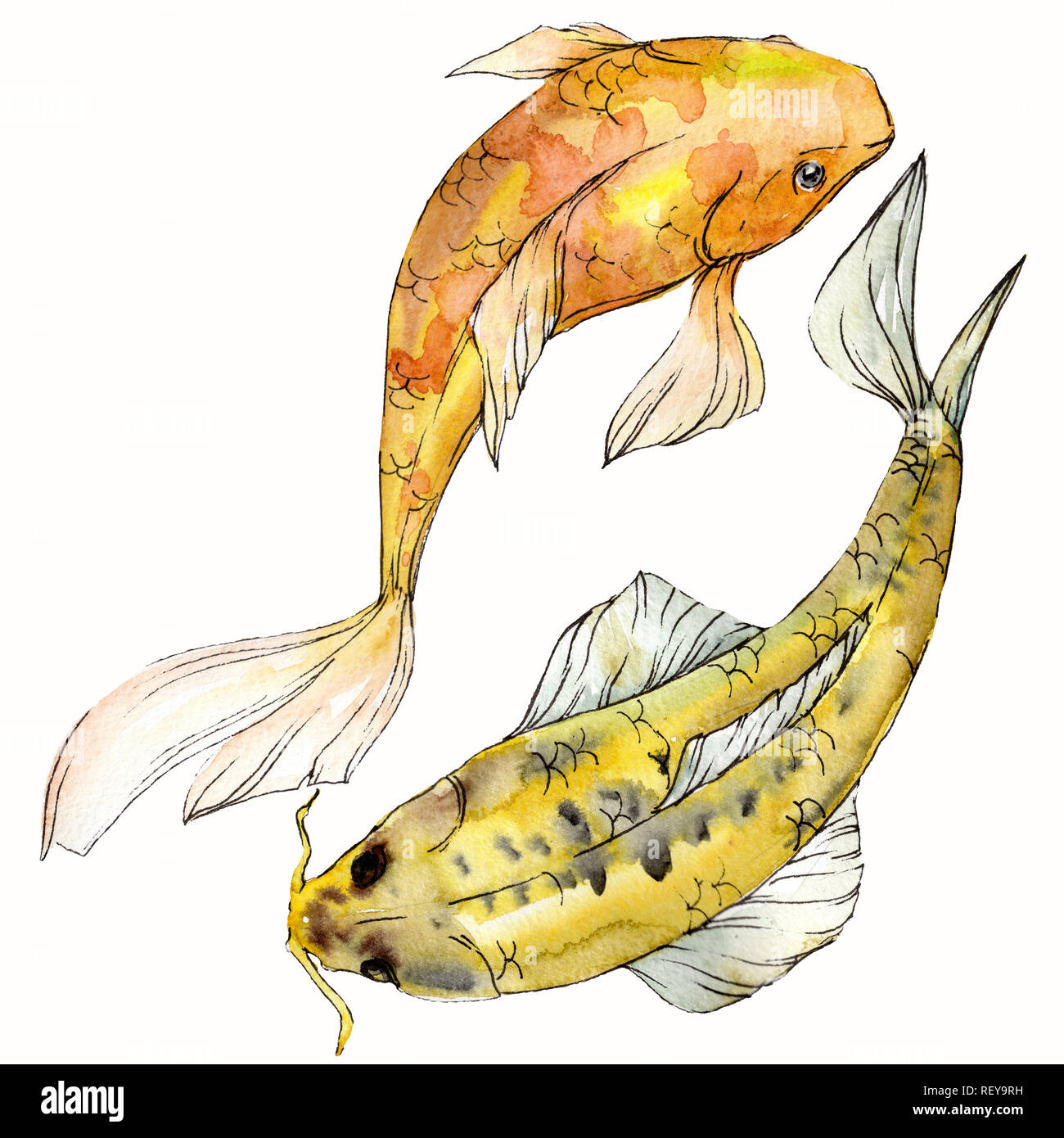 Watercolor aquatic underwater colorful tropical fish set. Red sea and ...