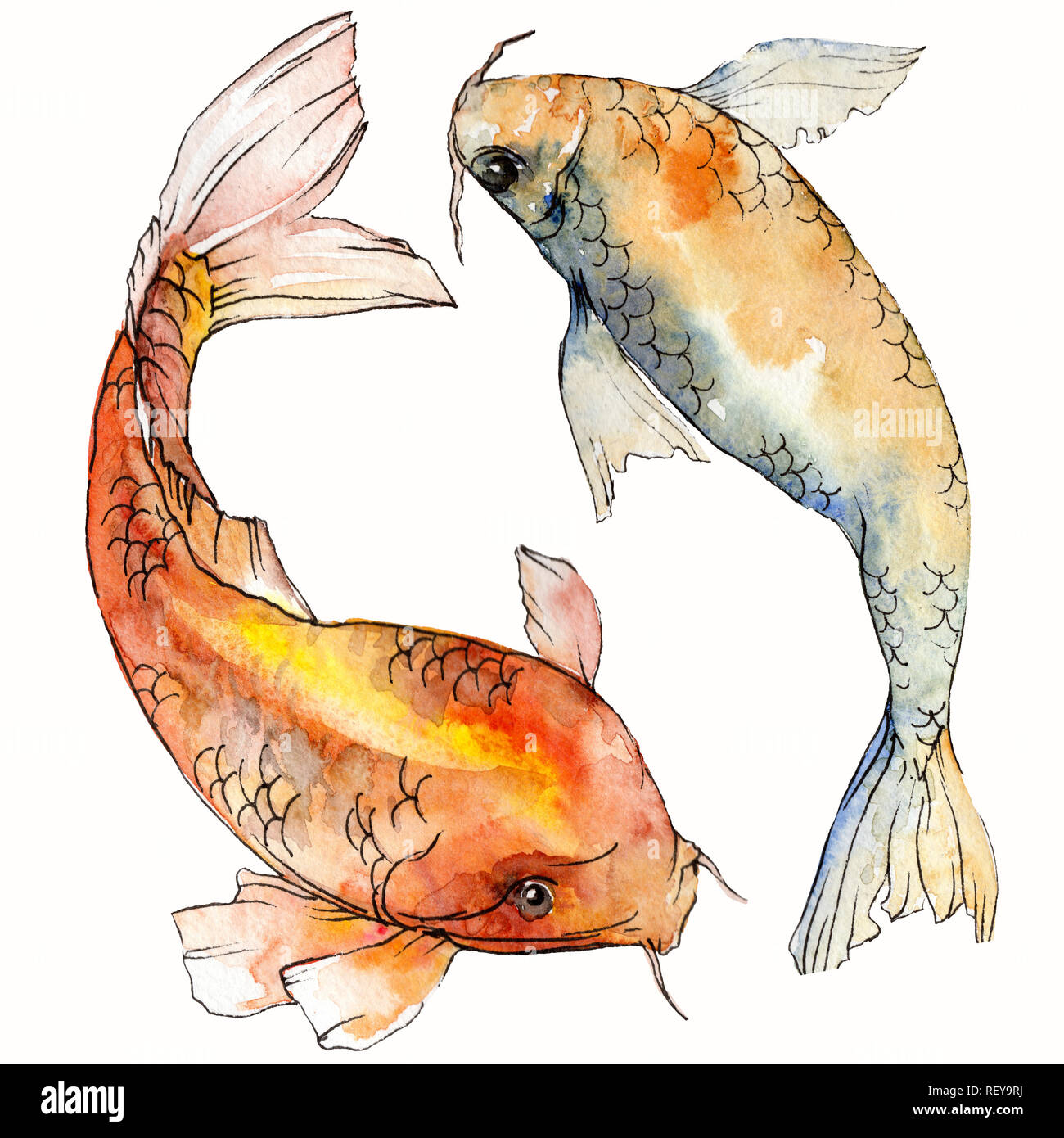 Watercolor aquatic underwater colorful tropical fish set. Red sea and ...