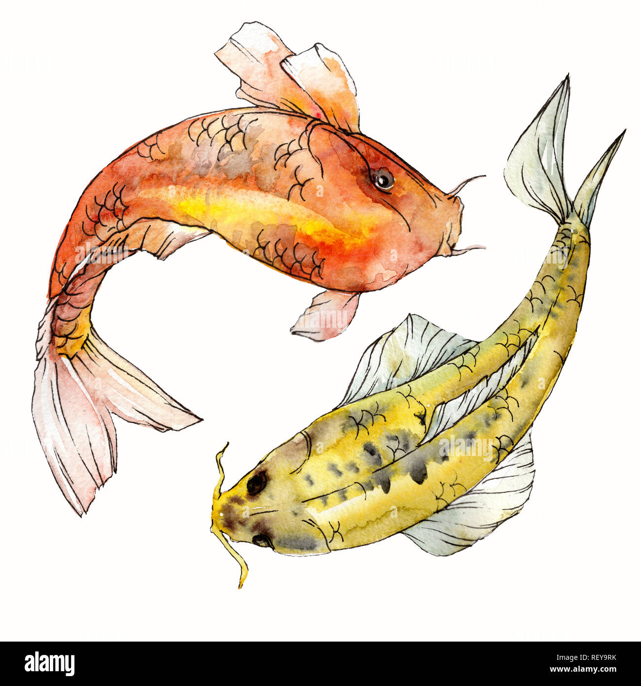 Watercolor aquatic underwater colorful tropical fish set. Red sea and ...