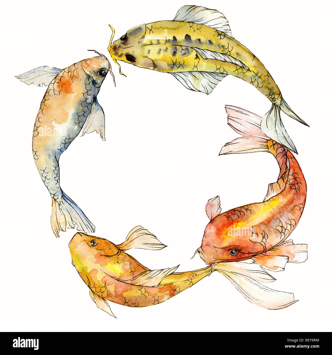 Watercolor aquatic underwater colorful tropical fish set. Red sea and ...