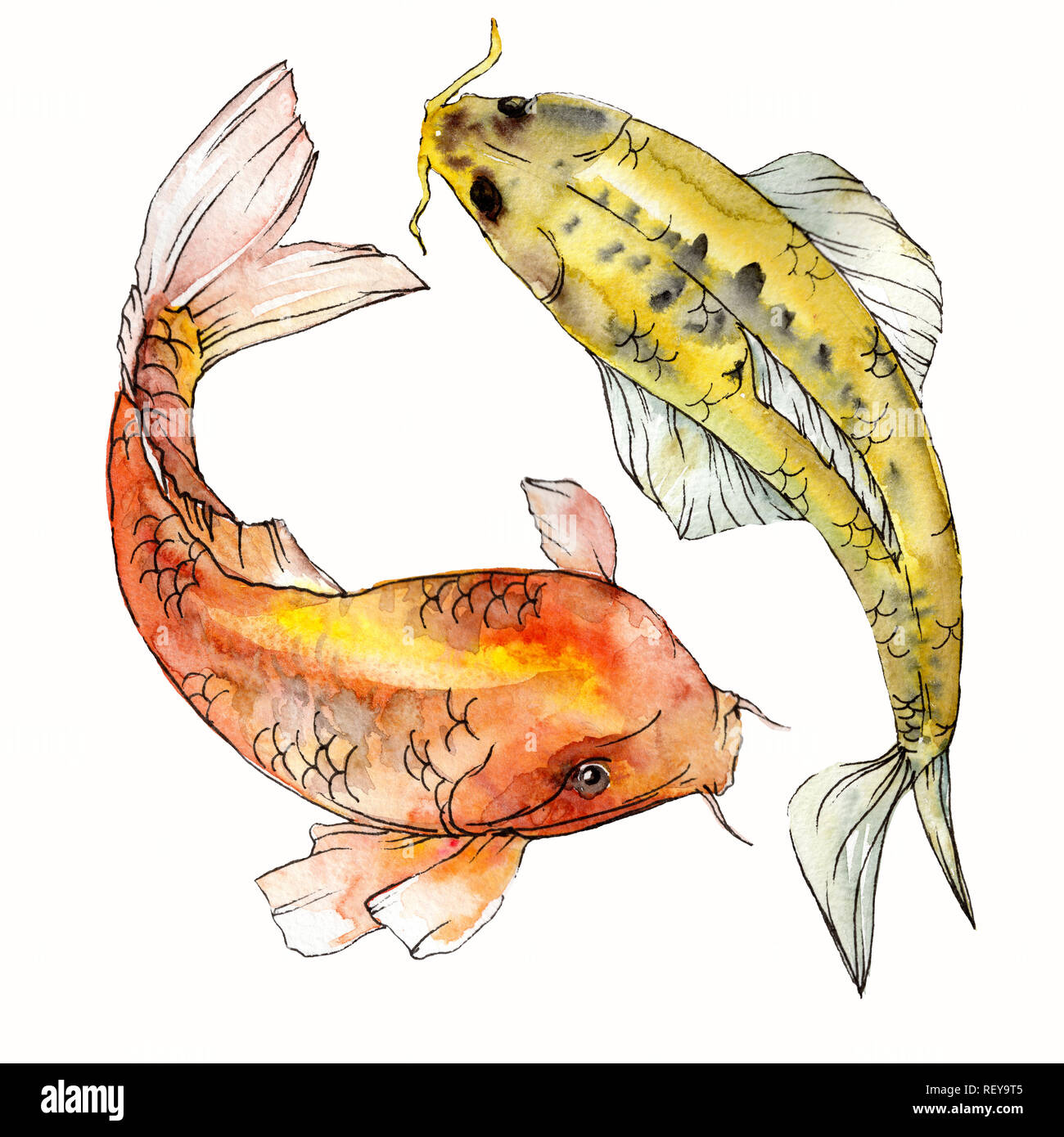 Watercolor aquatic underwater colorful tropical fish set. Red sea and ...