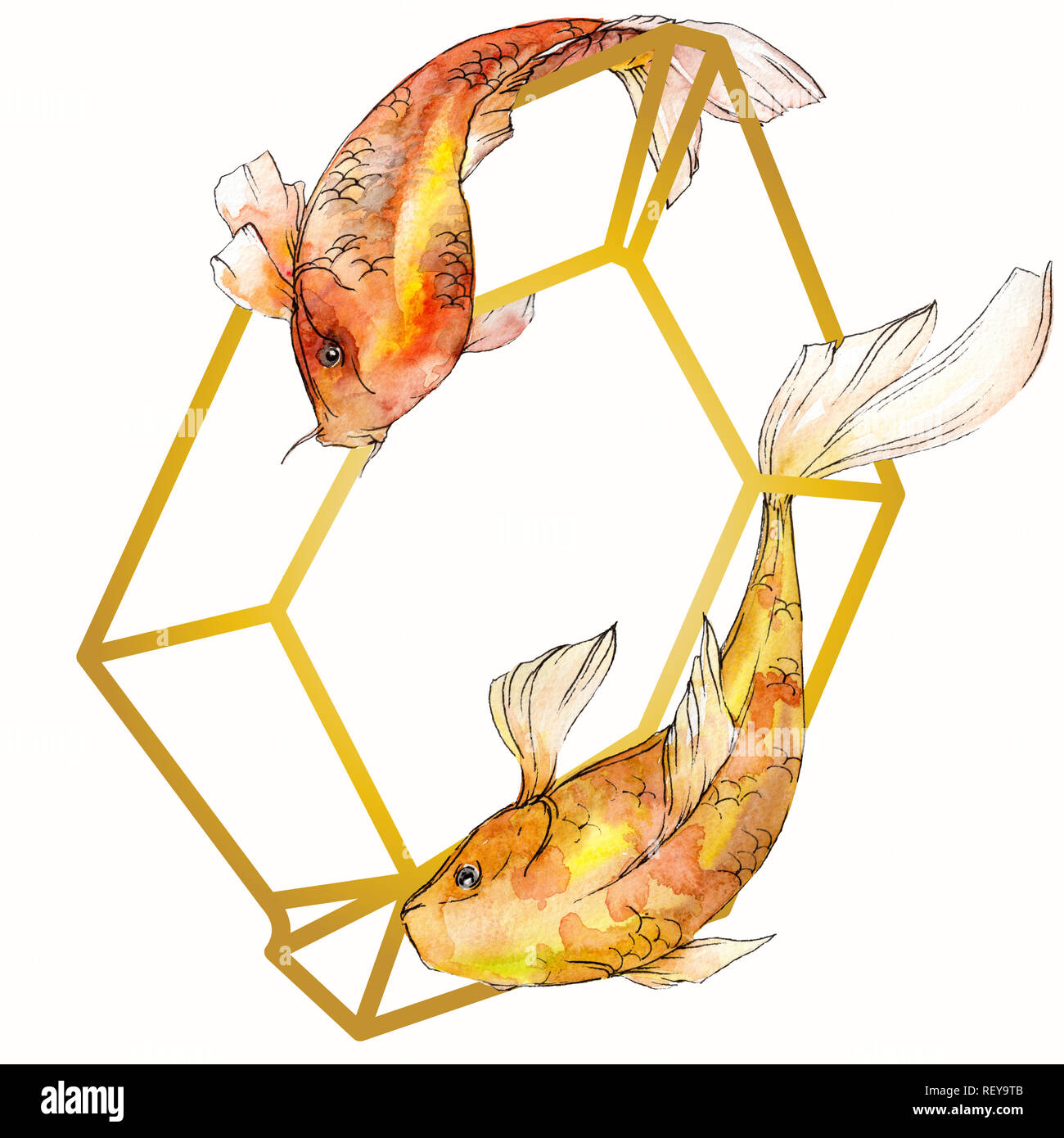 Watercolor aquatic underwater colorful tropical fish set. Red sea and ...