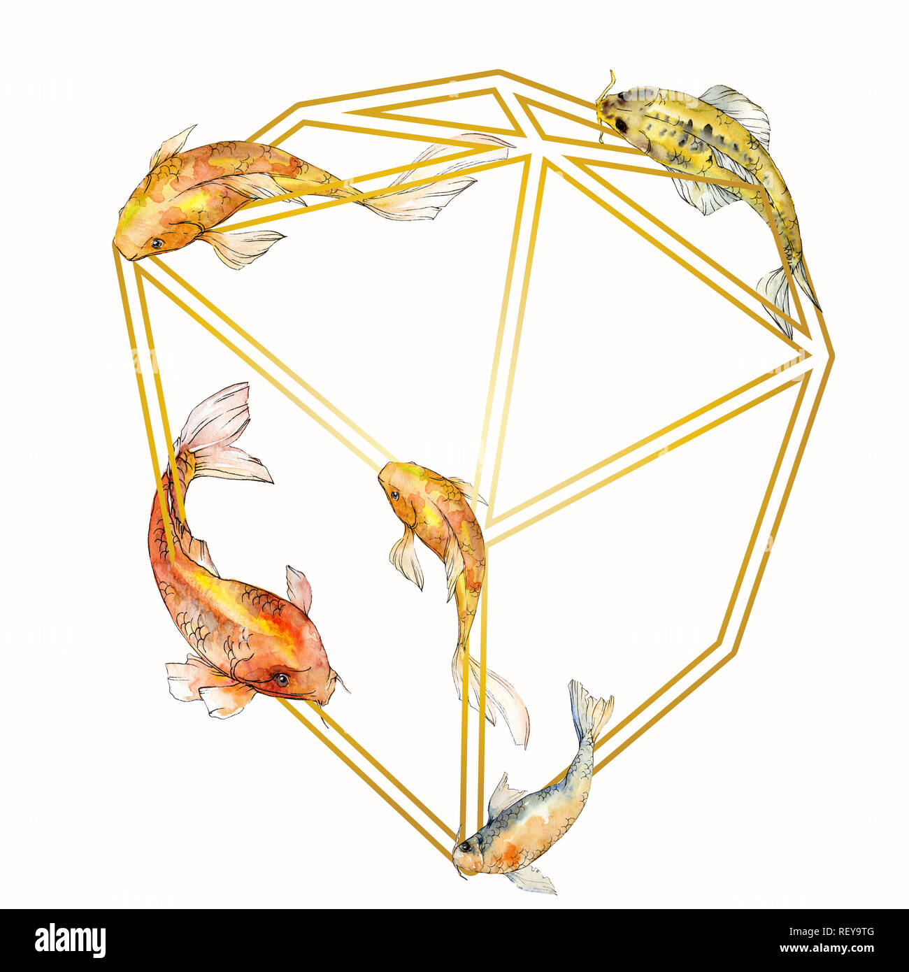 Watercolor aquatic underwater colorful tropical fish set. Red sea and ...