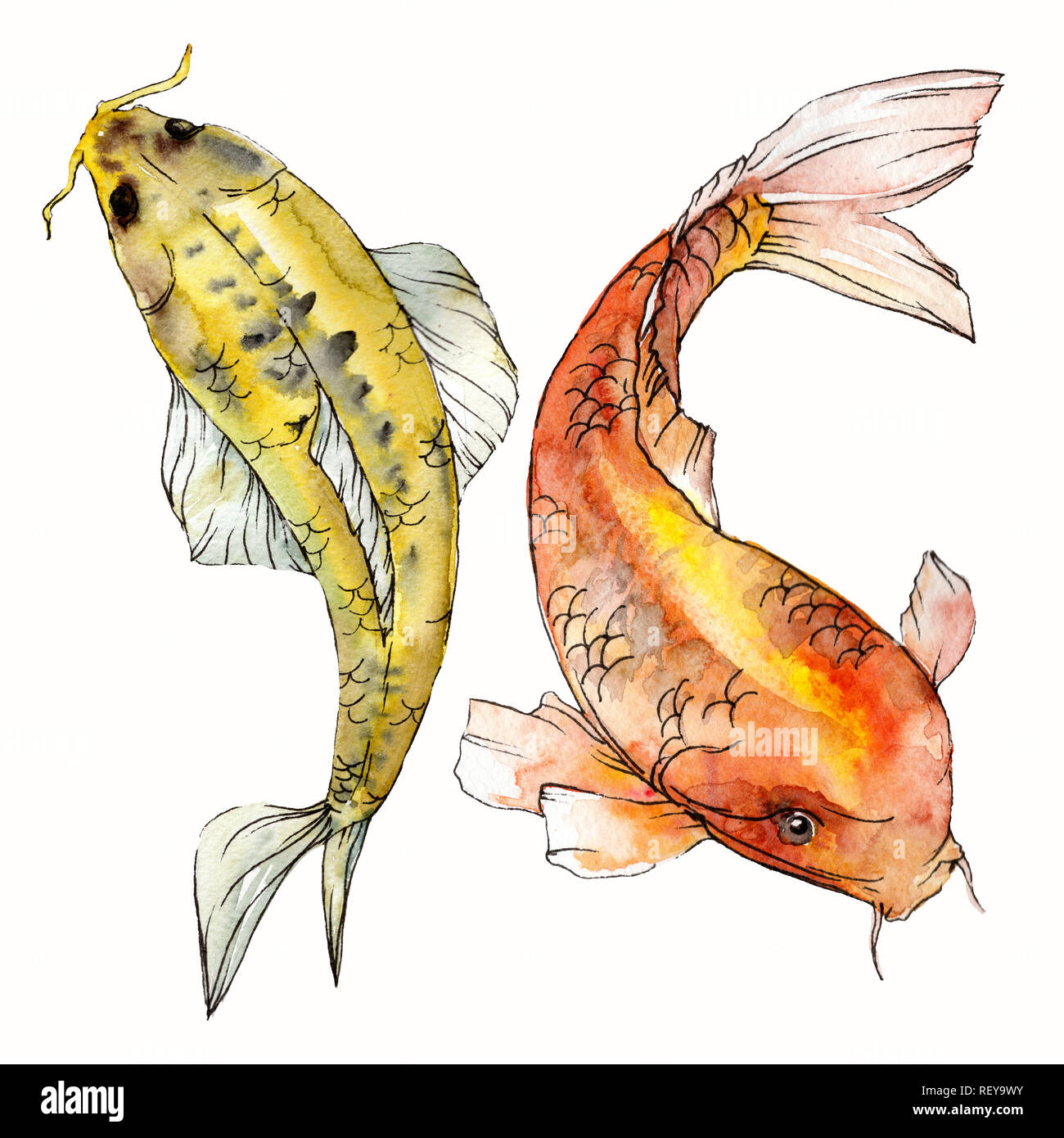 Watercolor aquatic underwater colorful tropical fish set. Red sea and ...