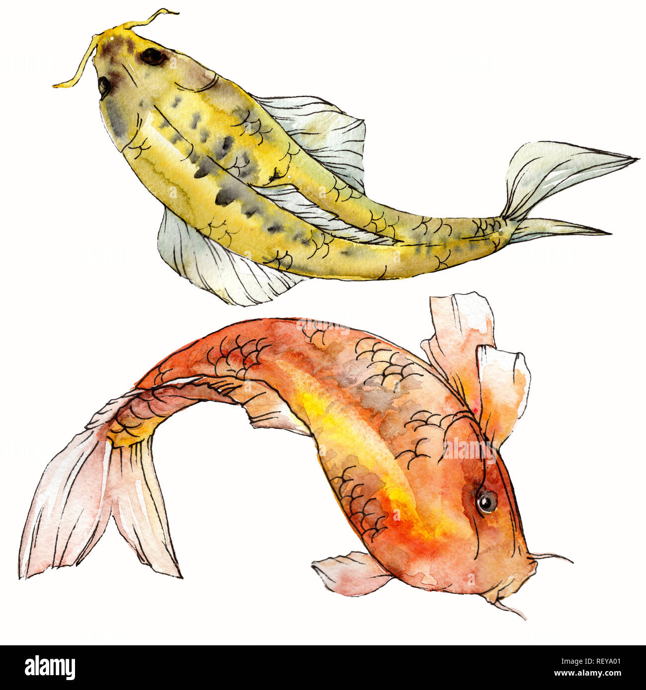 Watercolor aquatic underwater colorful tropical fish set. Red sea and ...