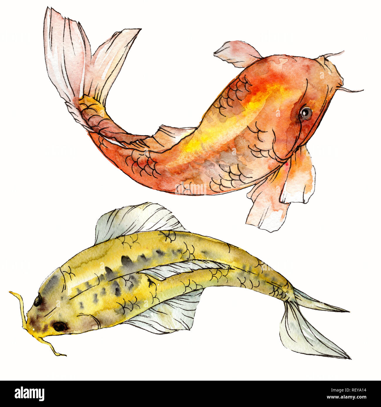 Watercolor aquatic underwater colorful tropical fish set. Red sea and ...