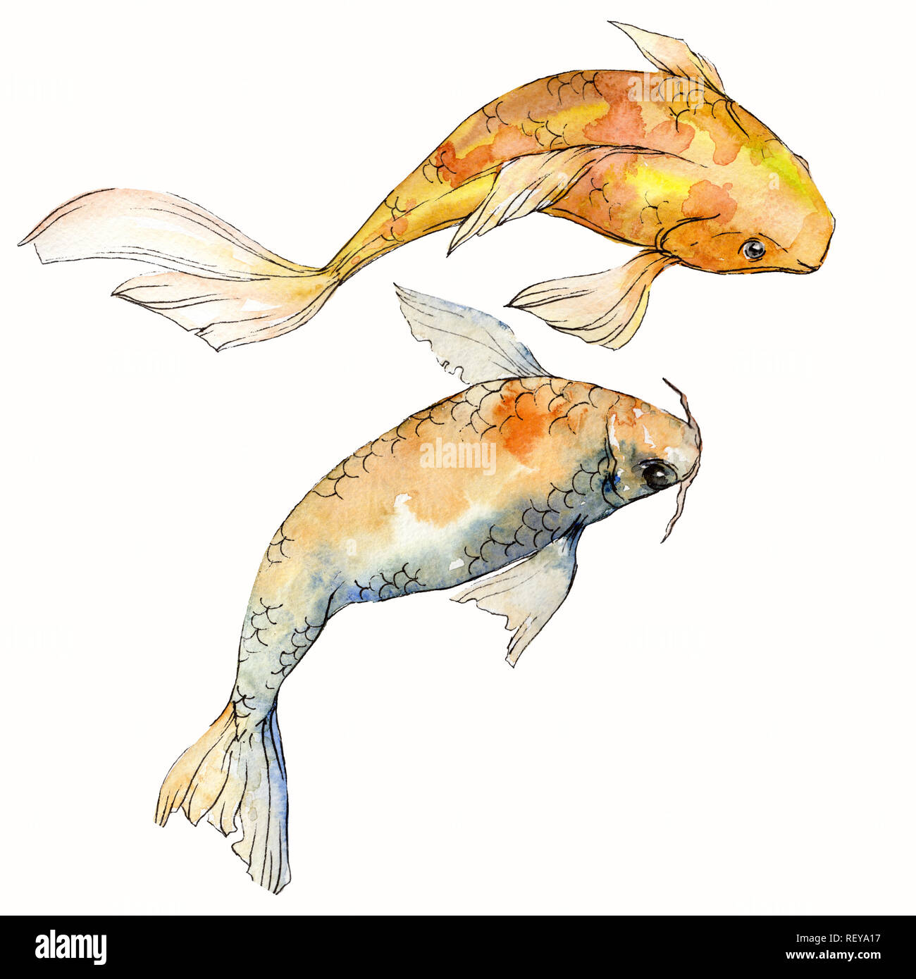 Watercolor aquatic underwater colorful tropical fish set. Red sea and ...