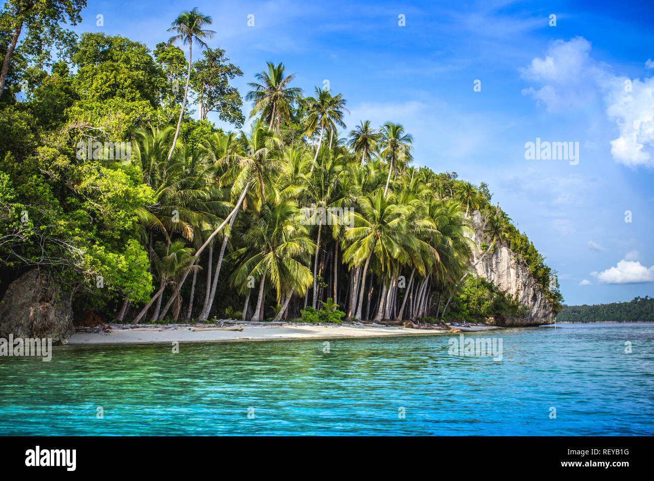 Where is togean hi-res stock photography and images - Alamy