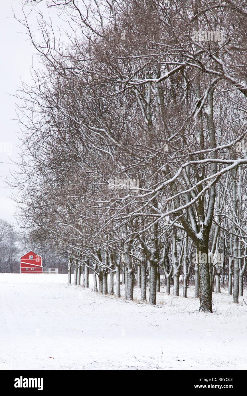 Red Barn In Winter Stock Photos & Red Barn In Winter Stock Images - Alamy