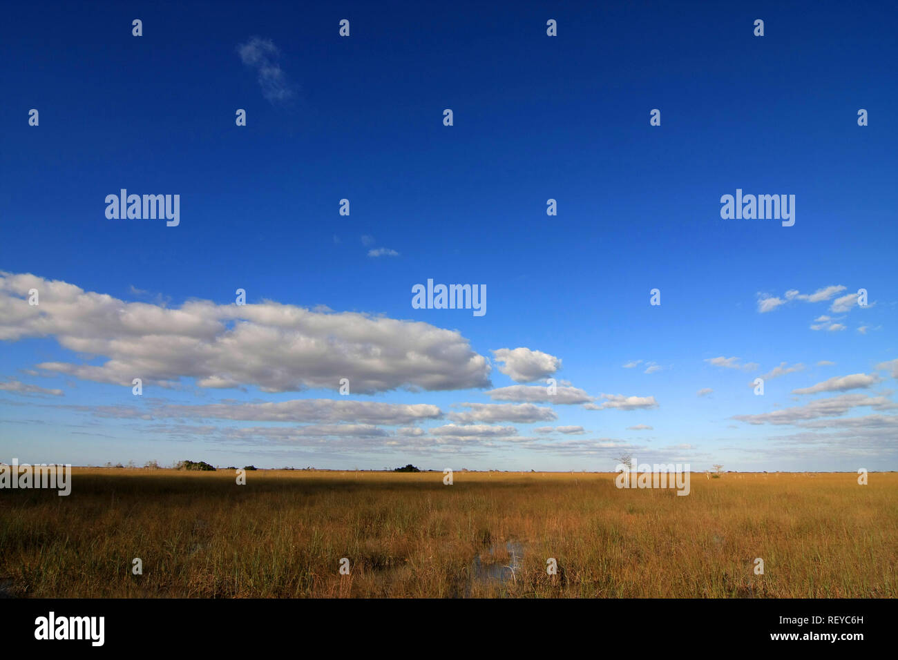 The expansive sawgrass plains of Everglades National Park, Florida ...