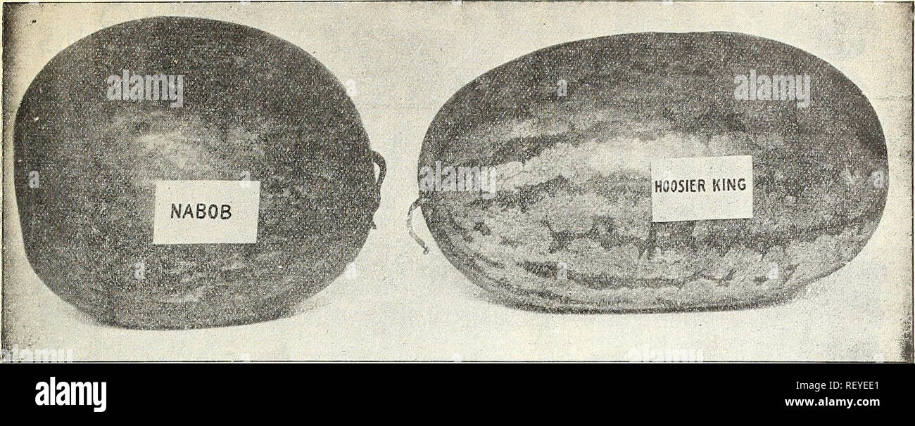 Apple acme hi-res stock photography and images - Alamy